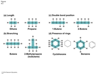 chapter 4 Carbon and the Molecular Diversity of Life.pptx