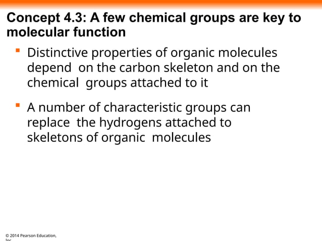 chapter 4 Carbon and the Molecular Diversity of Life.pptx | Chemistry ...