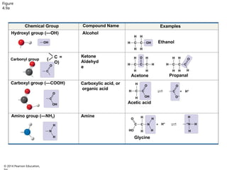 chapter 4 Carbon and the Molecular Diversity of Life.pptx