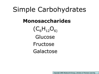 Carbohydrate Metabolism: An introduction to sugars, starches and fiber ...