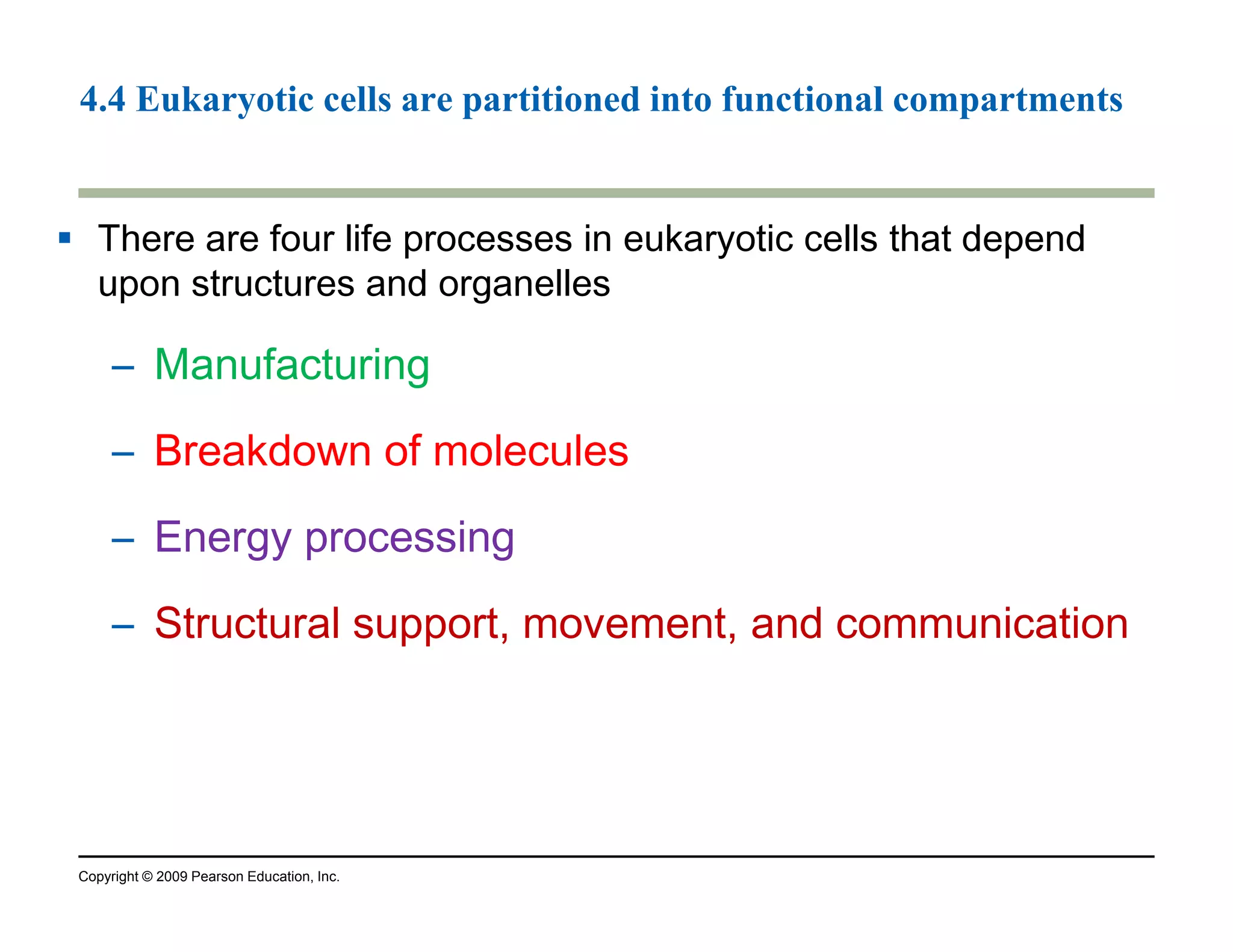 Chapter 4 cell & tissues (1) [compatibility mode] | PDF | Biological ...