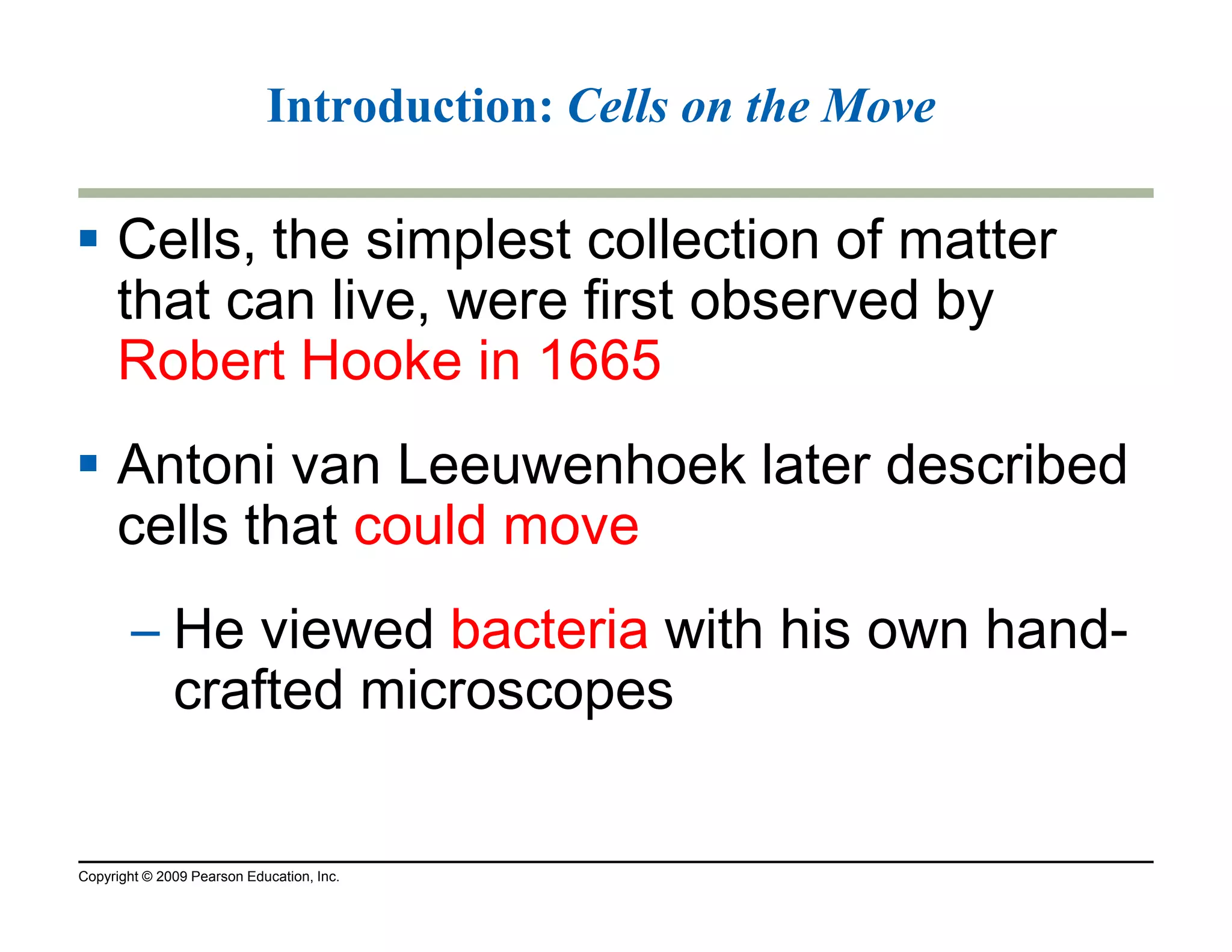 Chapter 4 cell & tissues (1) [compatibility mode] | PDF | Biological ...