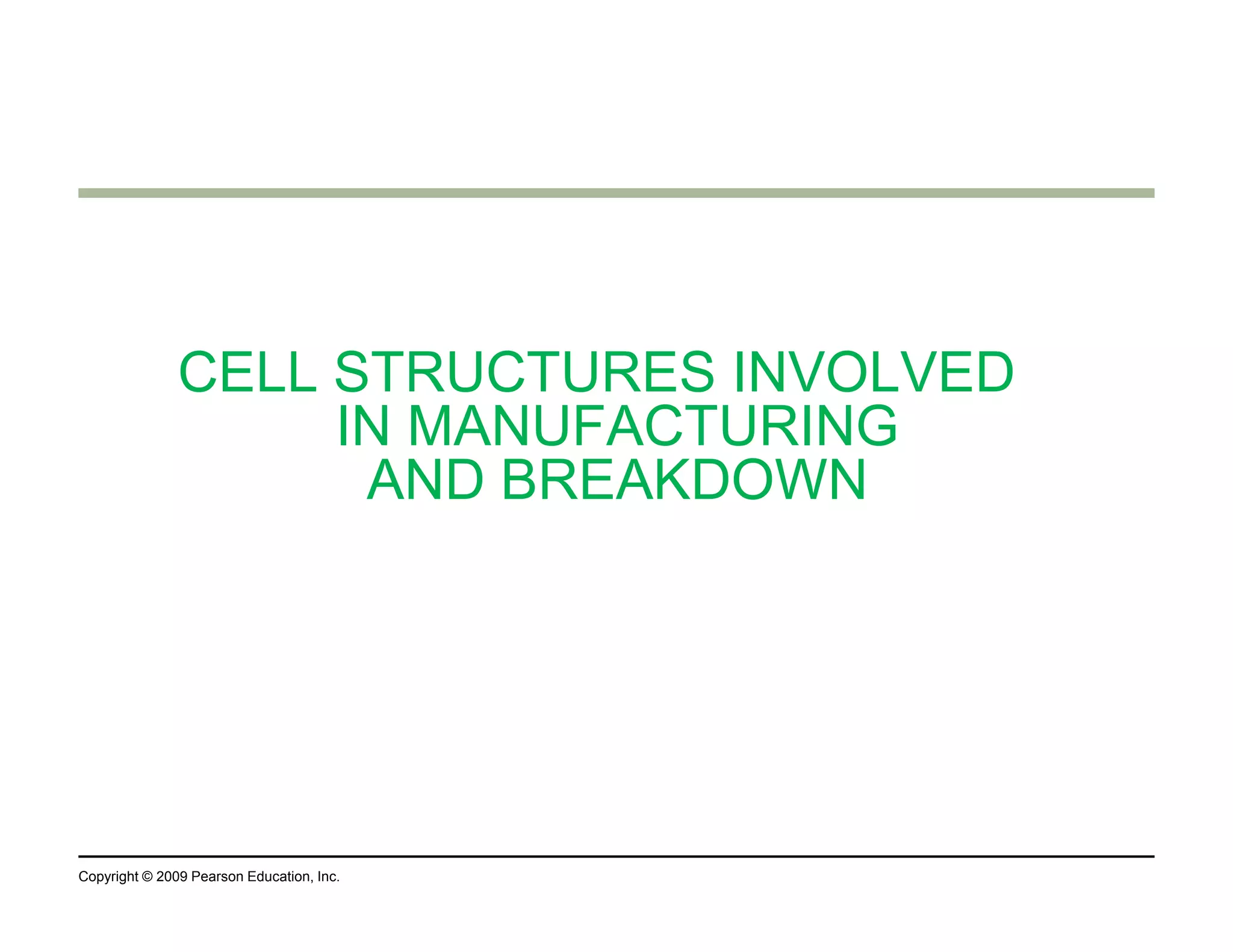 Chapter 4 cell & tissues (1) [compatibility mode] | PDF | Biological ...