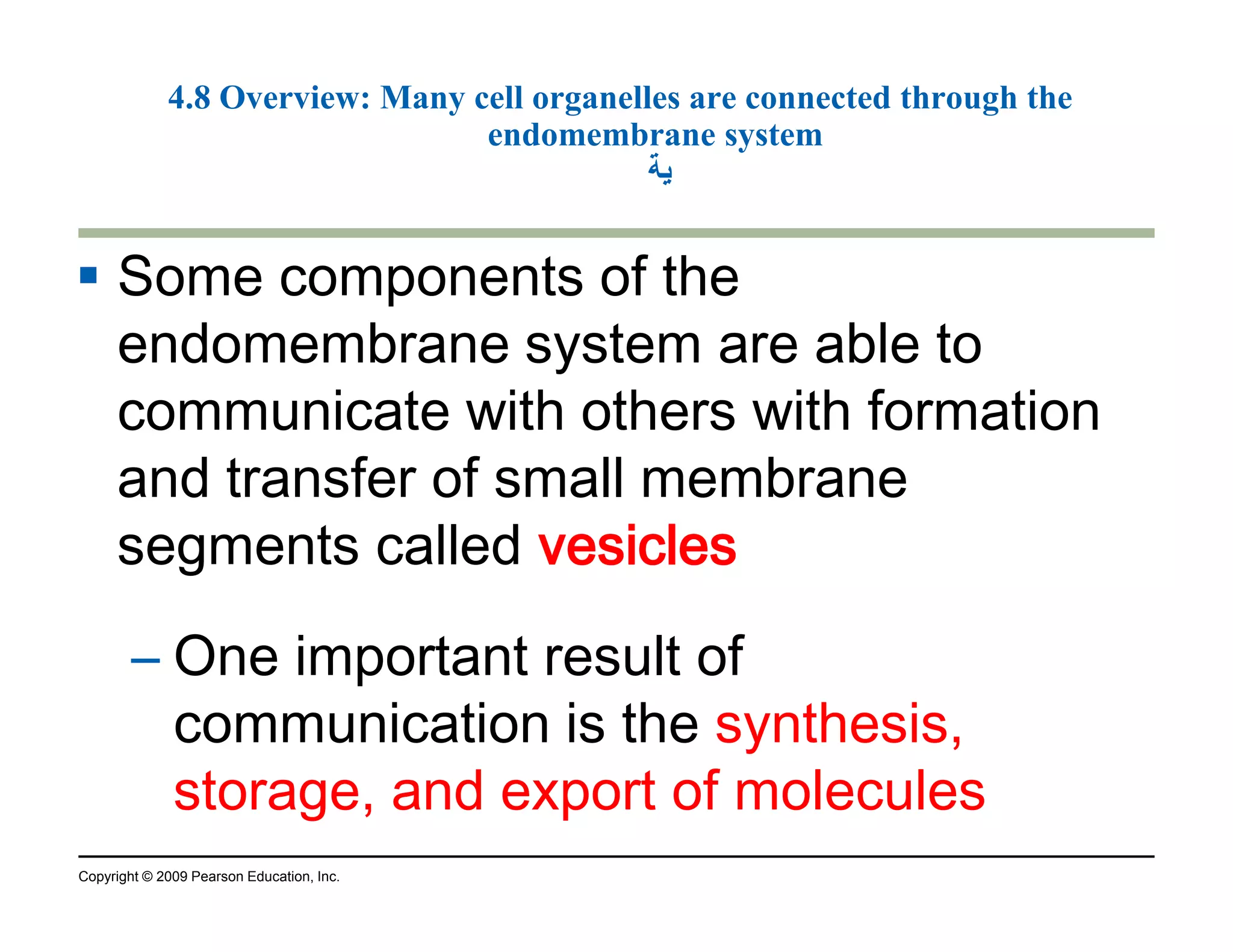 Chapter 4 cell & tissues (1) [compatibility mode] | PDF | Biological ...