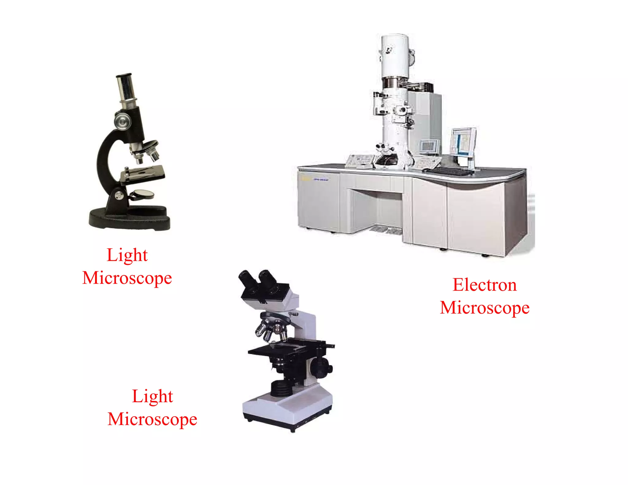 Chapter 4 cell & tissues (1) [compatibility mode] | PDF | Biological ...