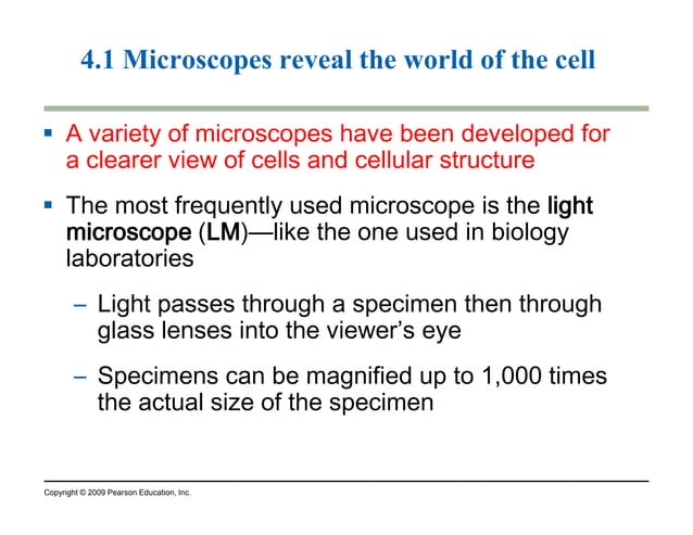 Chapter 4 cell & tissues (1) [compatibility mode] | PDF | Biological ...
