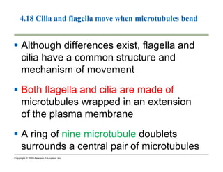 Chapter 4 cell & tissues (1) [compatibility mode] | PDF