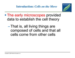 Chapter 4 cell & tissues (1) [compatibility mode] | PPT