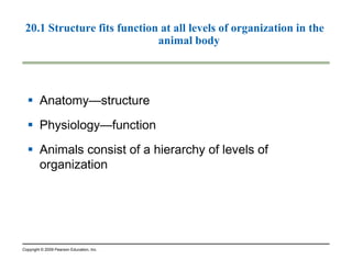 Chapter 4 cell & tissues (1) [compatibility mode] | PPT