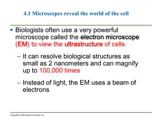 Chapter 4 cell & tissues (1) [compatibility mode] | PPT