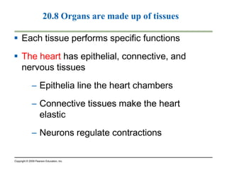 Chapter 4 cell & tissues (1) [compatibility mode] | PPT