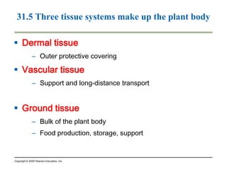 Chapter 4 cell & tissues (1) [compatibility mode] | PPT