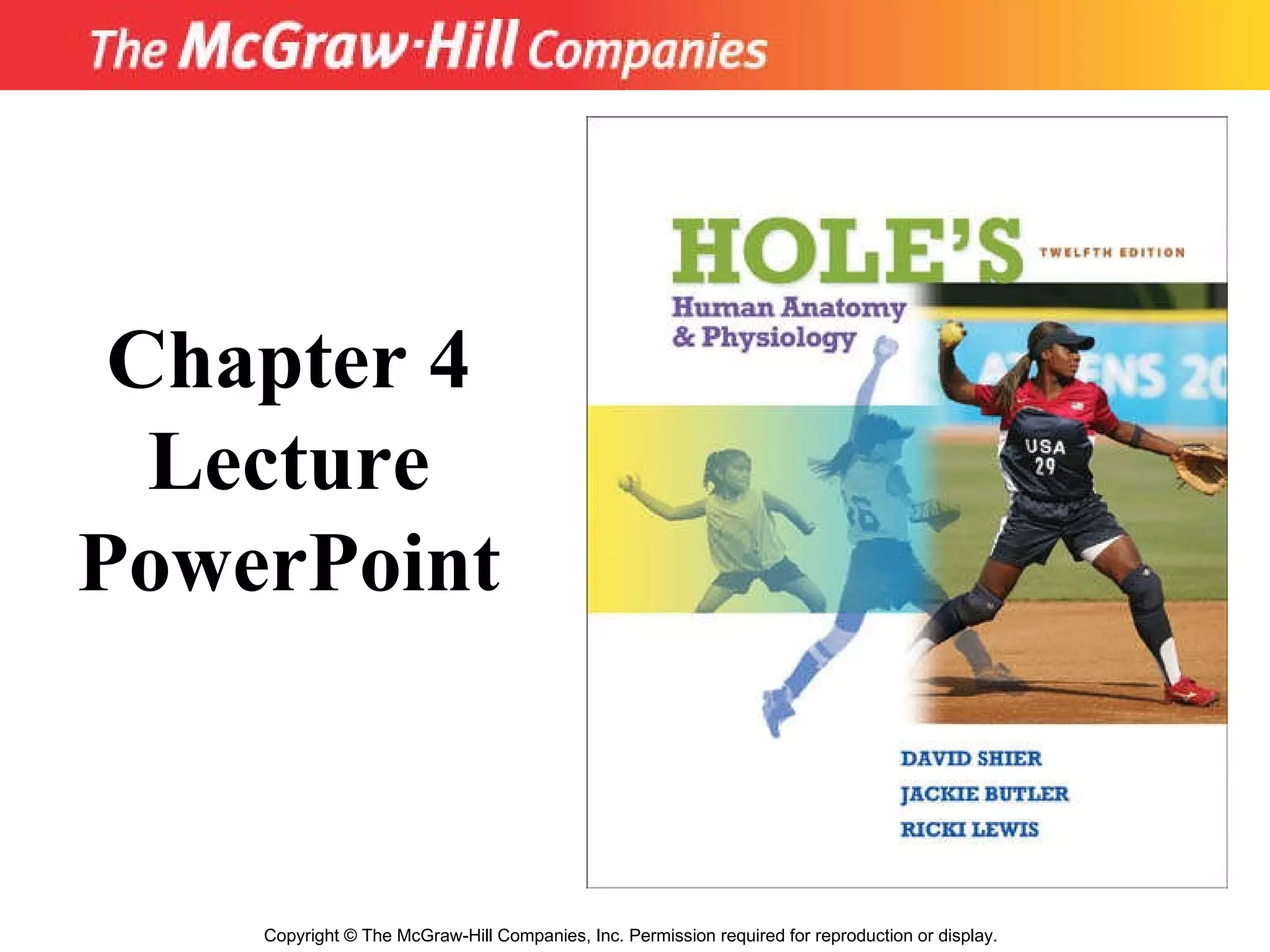 Chapter 4 Cellular Metabolism | PPT