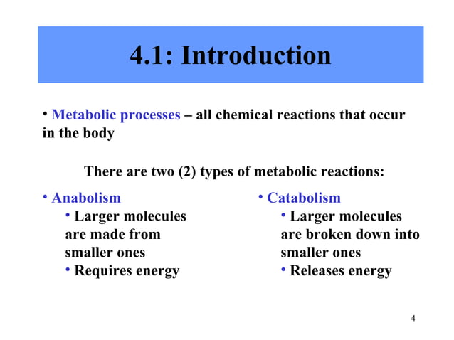 Chapter 4 Cellular Metabolism | PPT | Endocrine and Metabolic Diseases | Diseases and Conditions