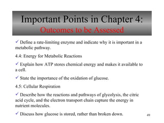 Chapter 4 Cellular Metabolism | PPT