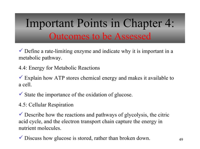 Chapter 4 Cellular Metabolism | PPT | Endocrine and Metabolic Diseases | Diseases and Conditions