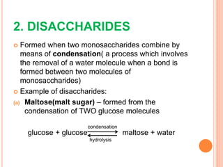 Chapter 4 chemical composition of the cell | PPTX