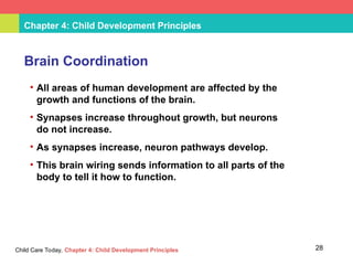 CHILD DEVELOPMENT PRINCIPLES CHAPTER 4.PPT