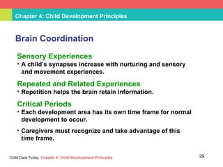 CHILD DEVELOPMENT PRINCIPLES CHAPTER 4.PPT