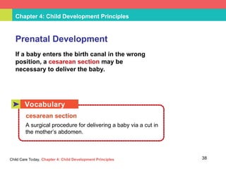CHILD DEVELOPMENT PRINCIPLES CHAPTER 4.PPT