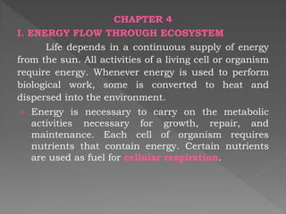 chapter 4-energy flow through ecosystem (2) (1).pdf