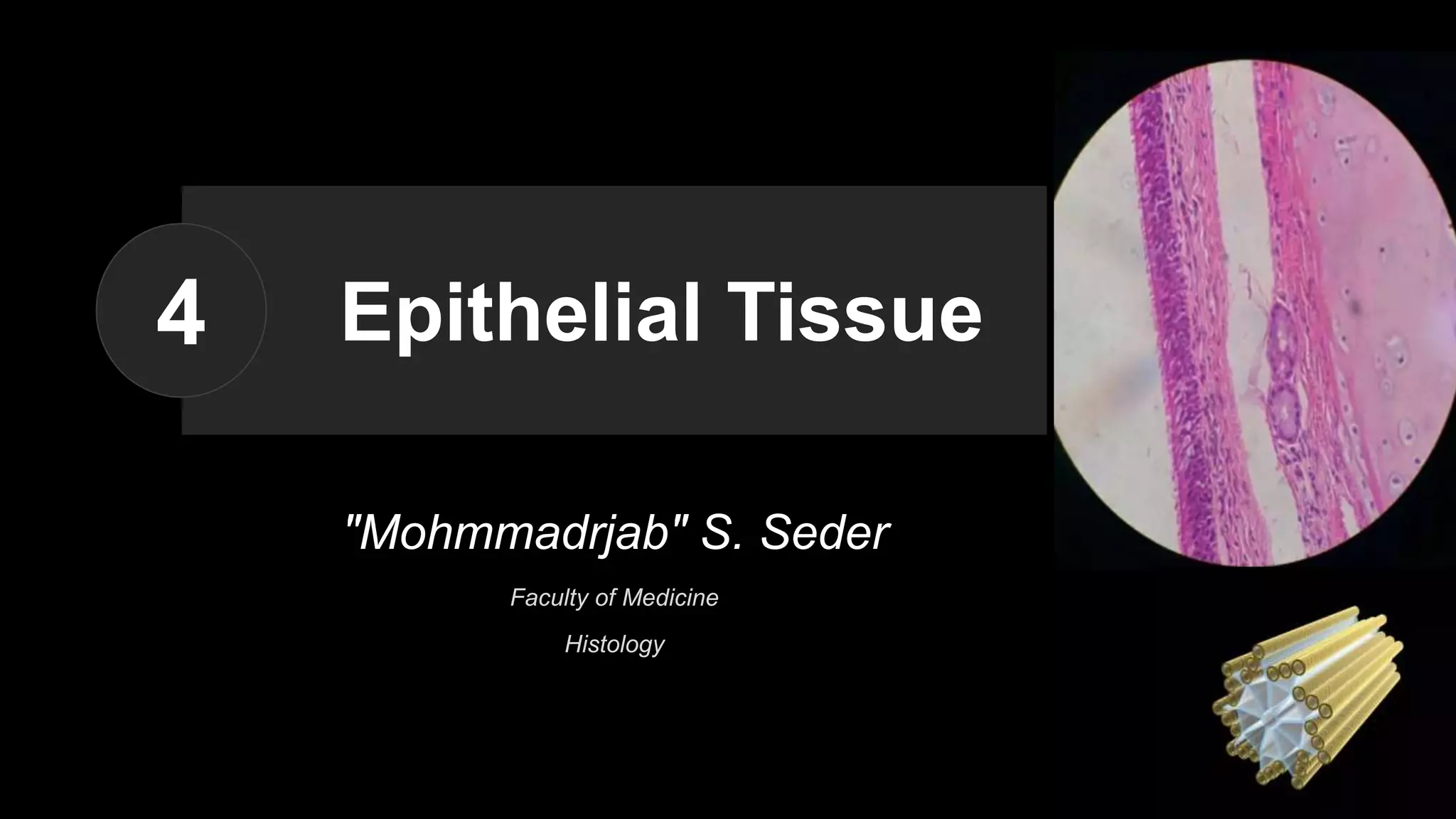 Epithelial Tissue Histology | PPTX
