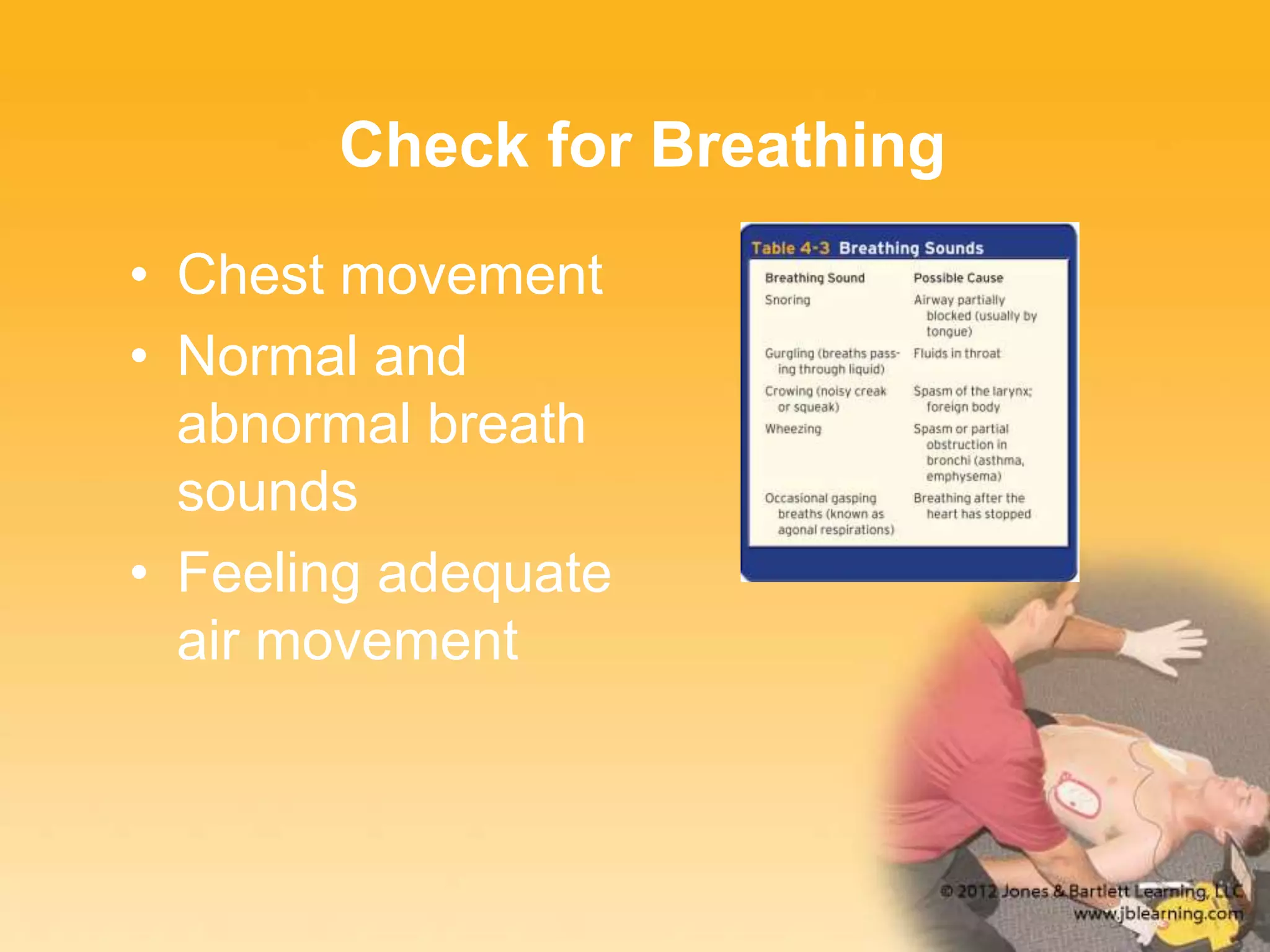 Chapter 4 Finding out What's Wrong | PPTX | First Aid | Injuries