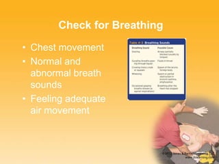 Chapter 4 Finding out What's Wrong | PPTX | First Aid | Injuries