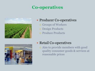 Chapter 4 forms of a business organisation | PPTX