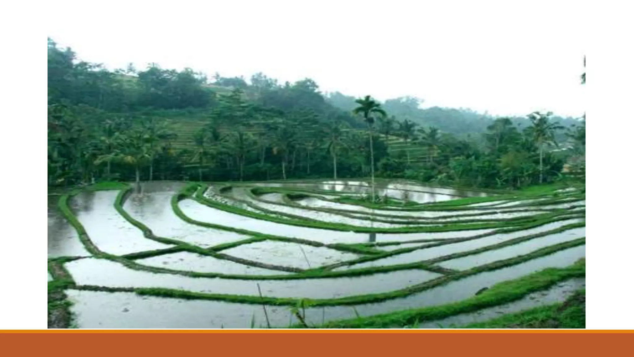 Chapter 4 -Irrigation Methods.pptx