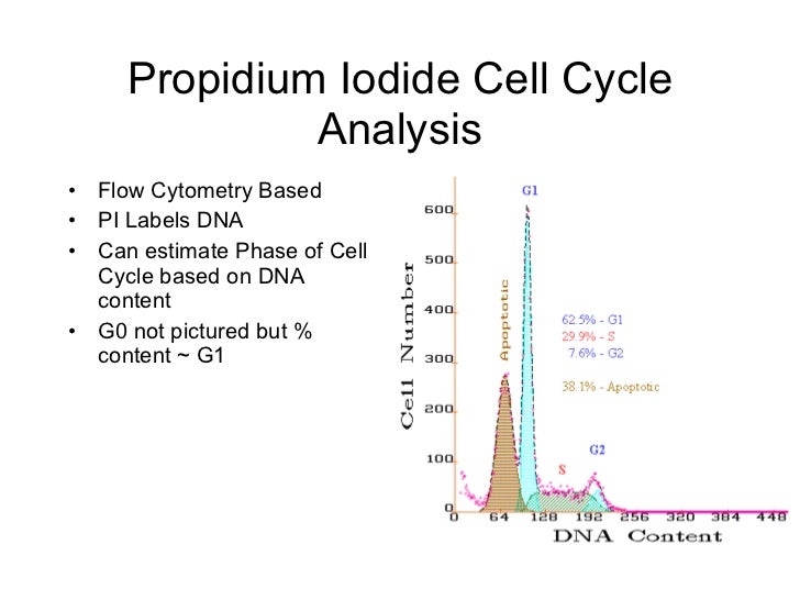 Radiosensitivity and the Cell Cycle - Chapter 4 jtl