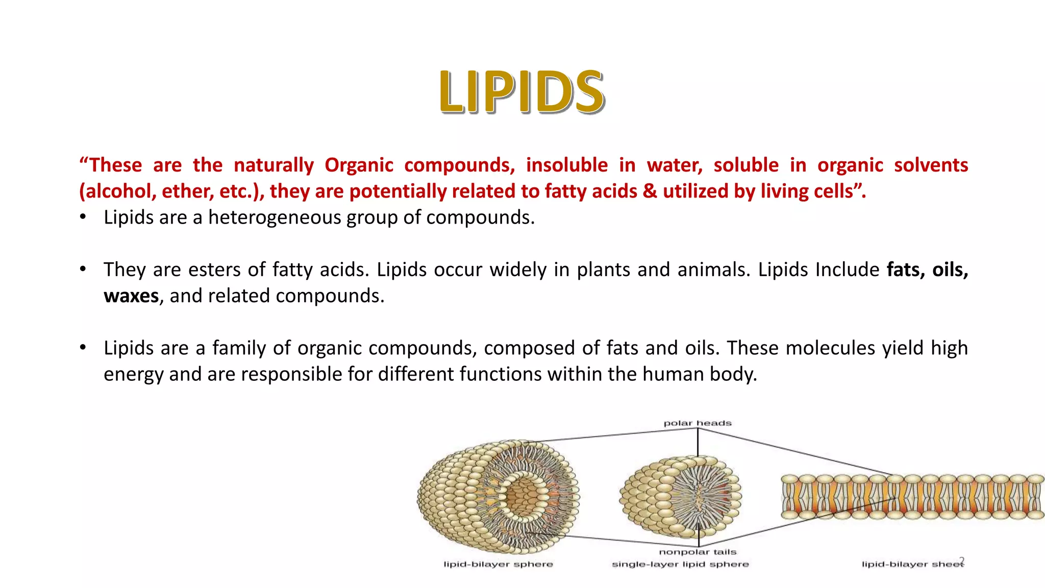 Lipids | PPTX | Chemistry | Science