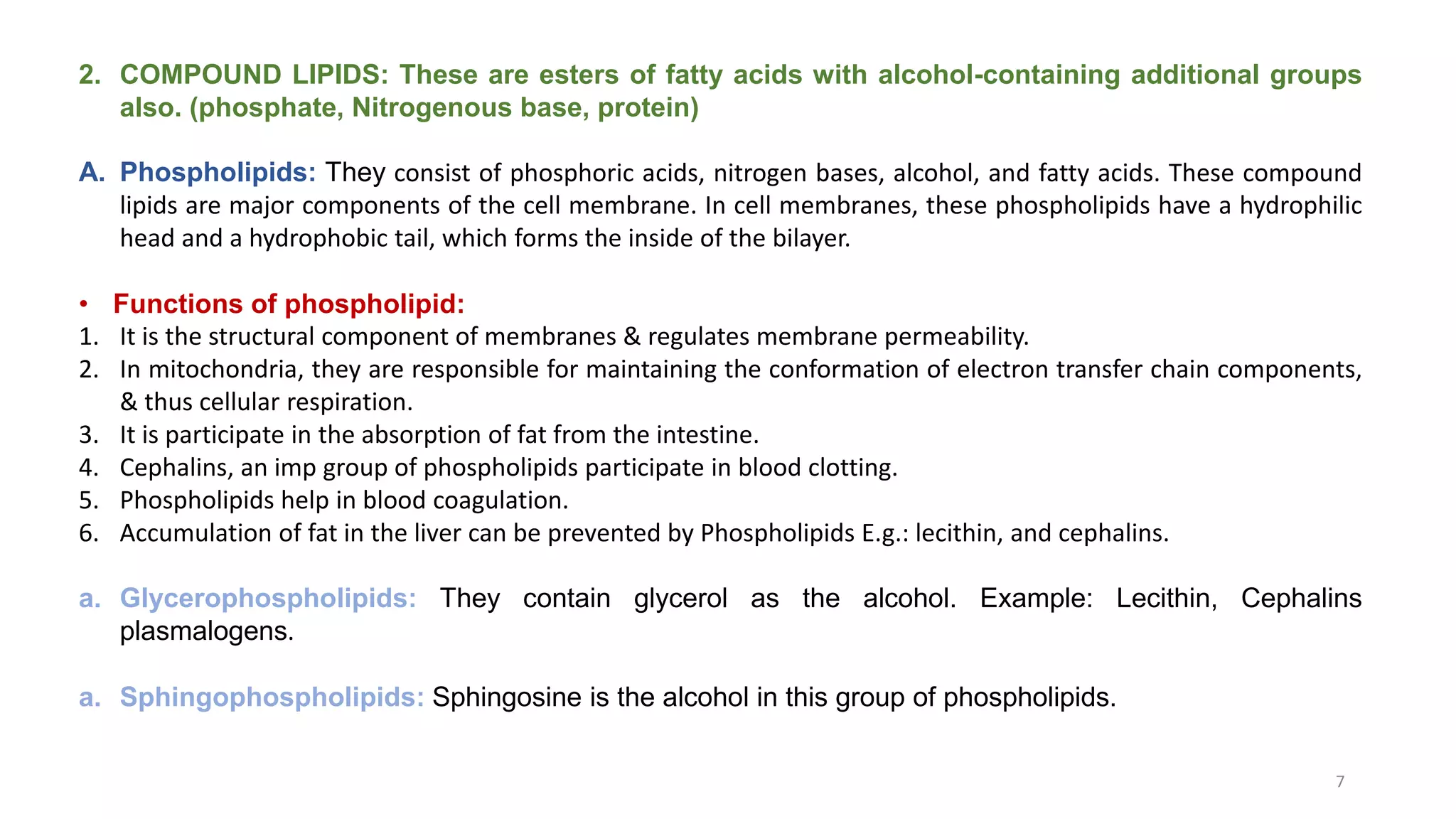 Lipids | PPTX