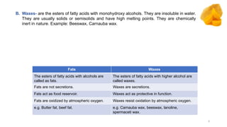 Lipids | PPTX | Chemistry | Science