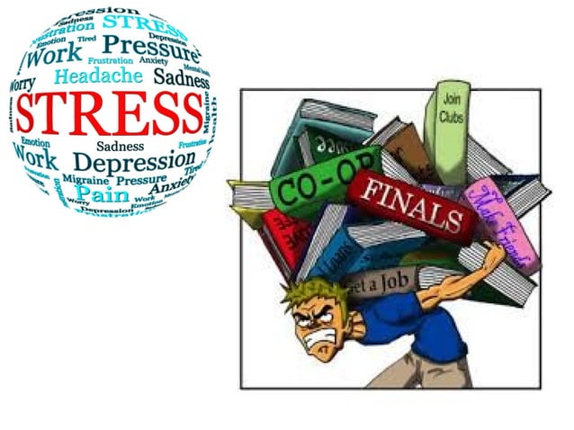 Chapter 4 managing stress and coping with loss | PPT