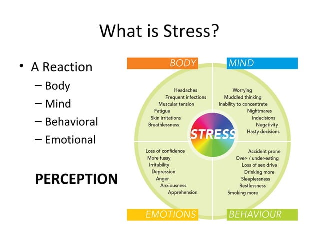 Chapter 4 managing stress and coping with loss | PPT