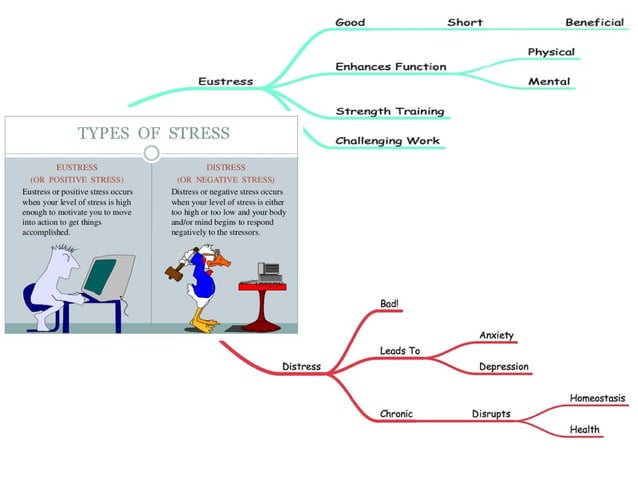 Chapter 4 managing stress and coping with loss | PPT