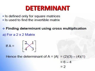 Chapter 4 matrix | PPT