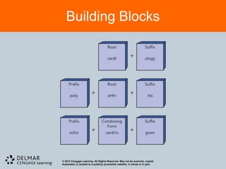 Chapter 4 Medical Terminology | PPT