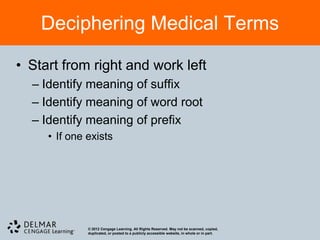 Chapter 4 Medical Terminology | PPT