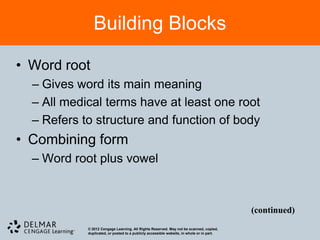 Chapter 4 Medical Terminology | PPT