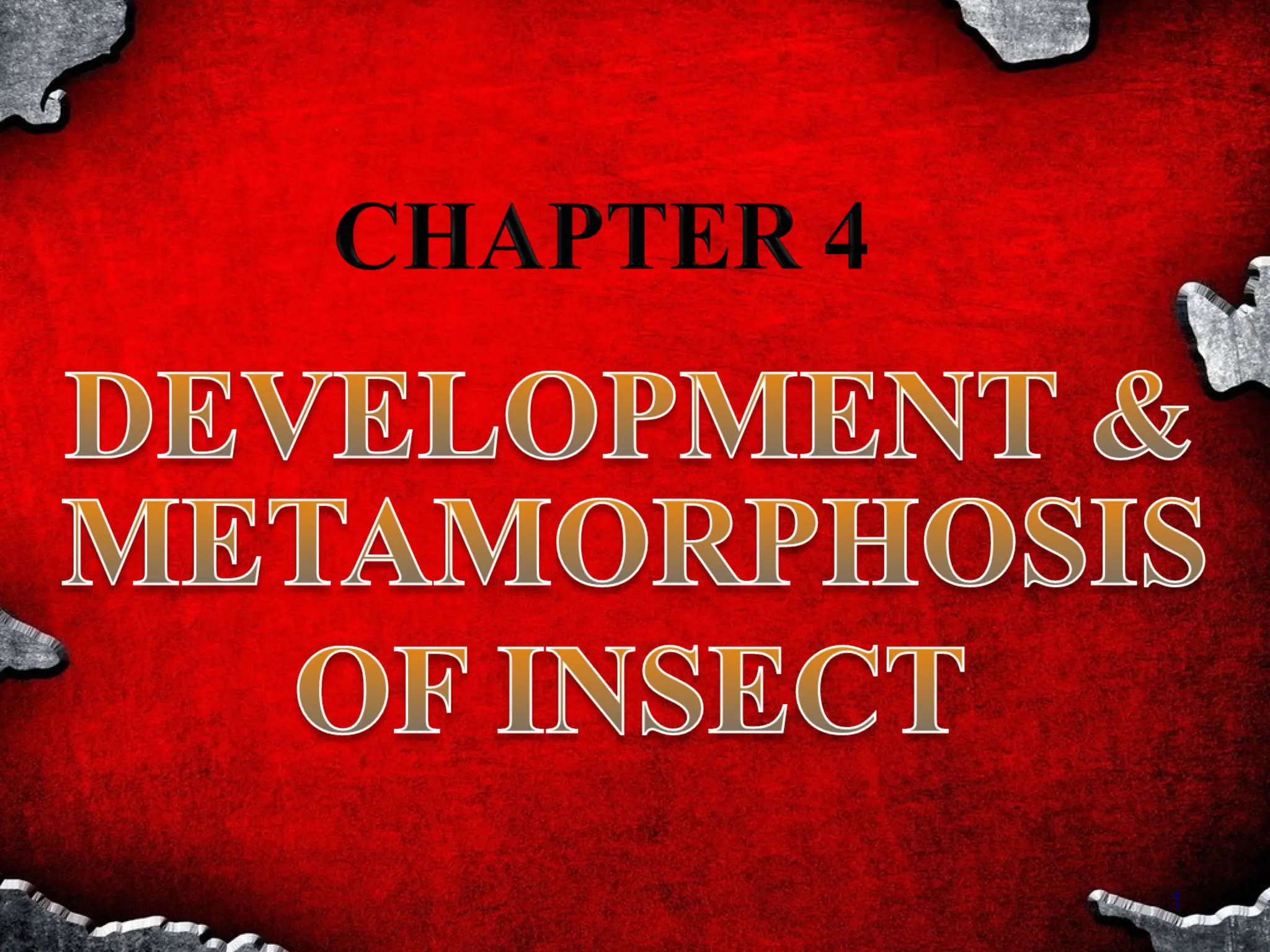 METAMORPHOSIS (1).ppt..................... | PPT