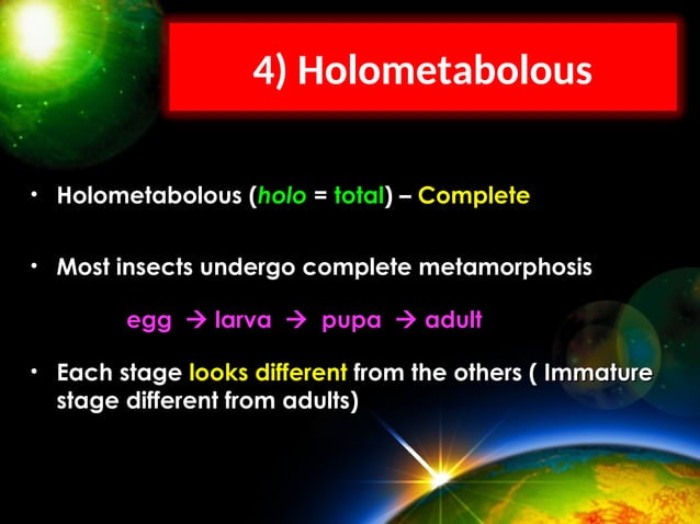 METAMORPHOSIS (1).ppt..................... | PPT
