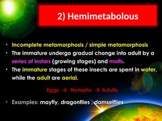 METAMORPHOSIS (1).ppt..................... | PPT