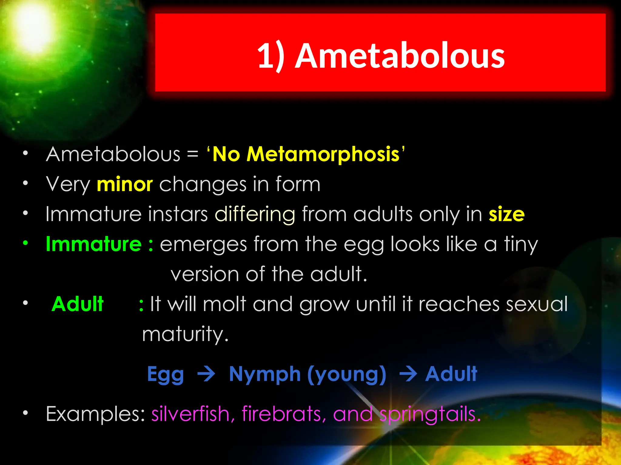 CHAPTER 4- METAMORPHOSIS (1).ppt........, | PPT