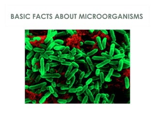 Chapter 4 microbiology | PPT