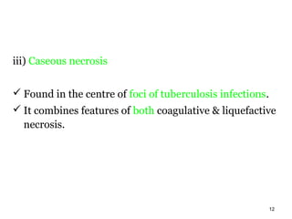 Necrosis | PPT | Digestive Disorders | Diseases and Conditions