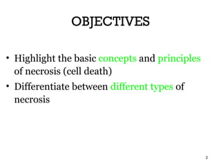 Necrosis | PPT | Digestive Disorders | Diseases and Conditions