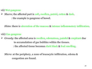 Necrosis | PPT | Digestive Disorders | Diseases and Conditions