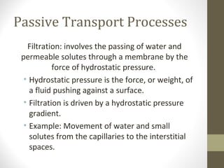 Chapter 4 -Part 1 | PPT